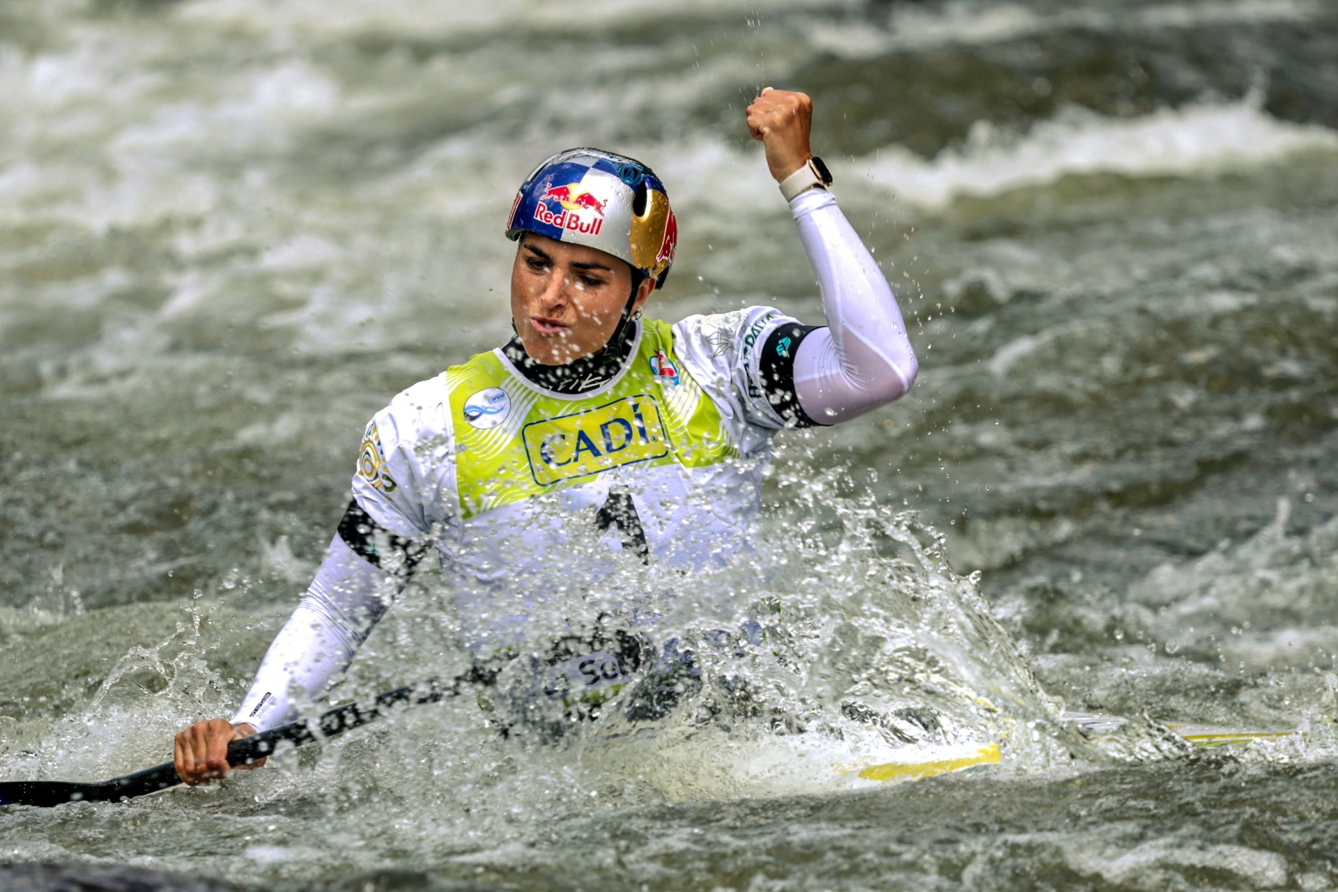 Fox Island tickets released as Sydney 2025 marks 100 days to go | ICF ...