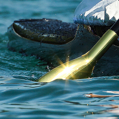 Online canoe sprint coaches course | ICF - Planet Canoe